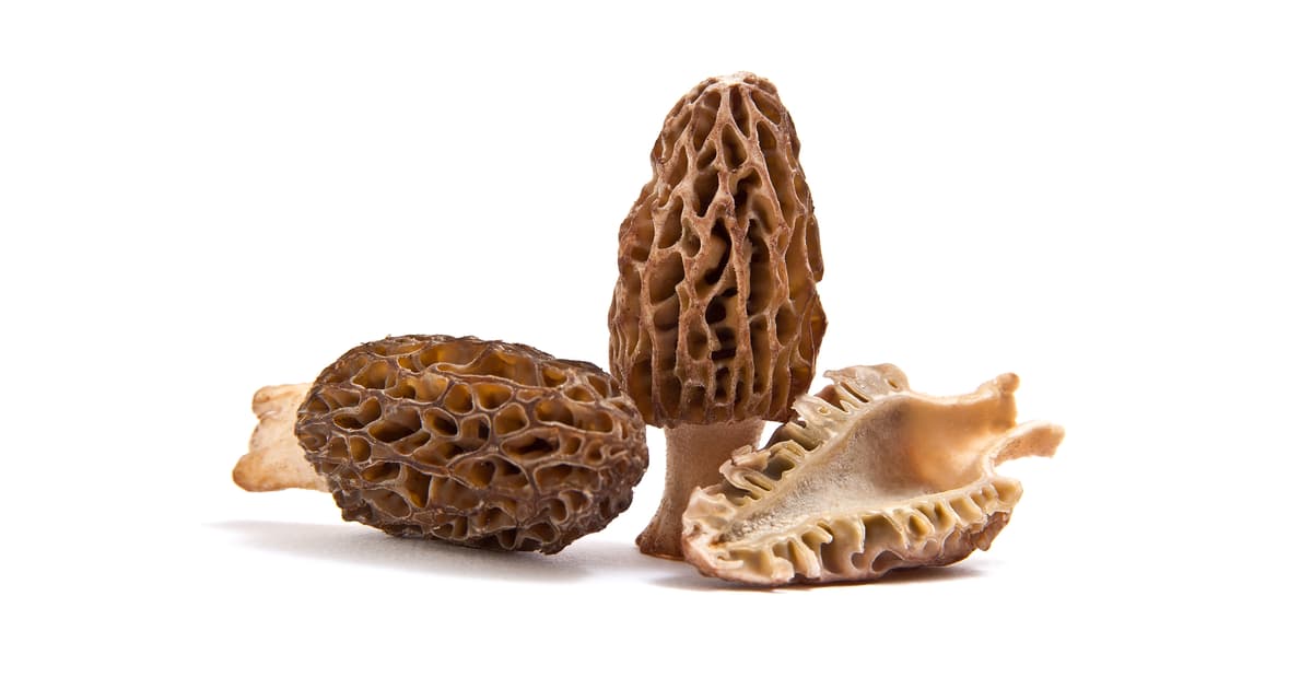Morcheln | Migusto