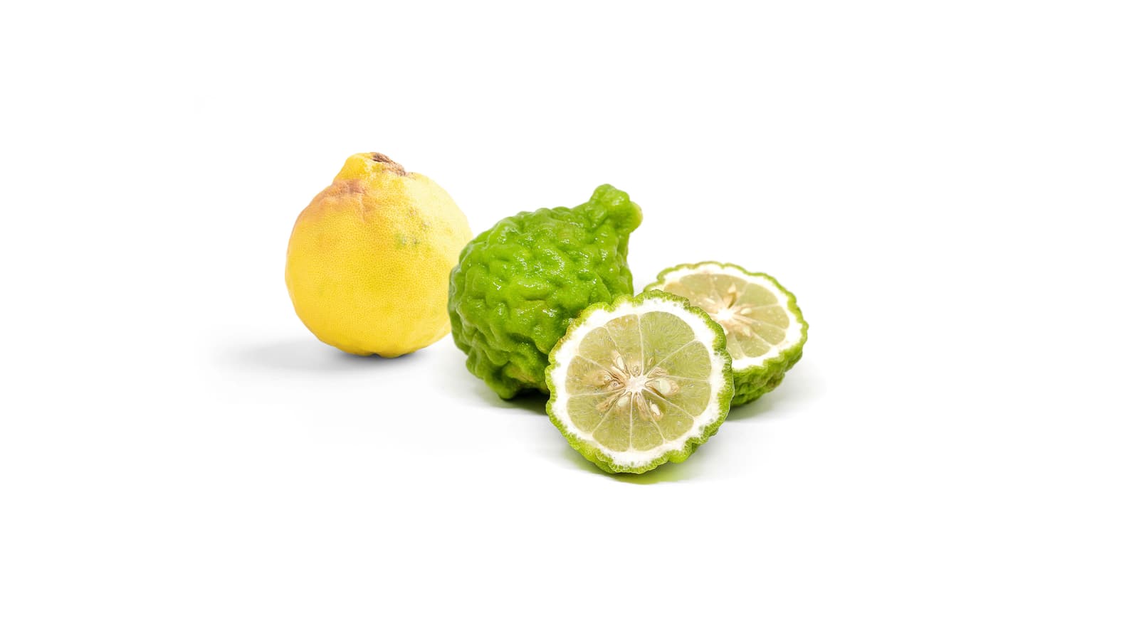 Zitrusfrüchte | Migusto